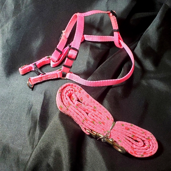 Tuff Harness and leash